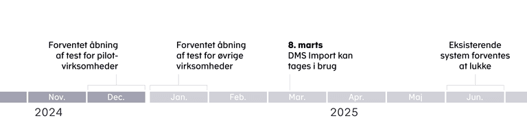 Planen for udrulning af DMS Import Toldstyrelsen